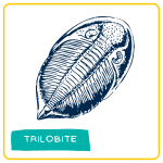 MI’s Backyard Fossils – UMORF | University of Michigan Online ...