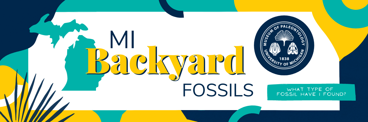 MI’s Backyard Fossils – UMORF | University of Michigan Online ...